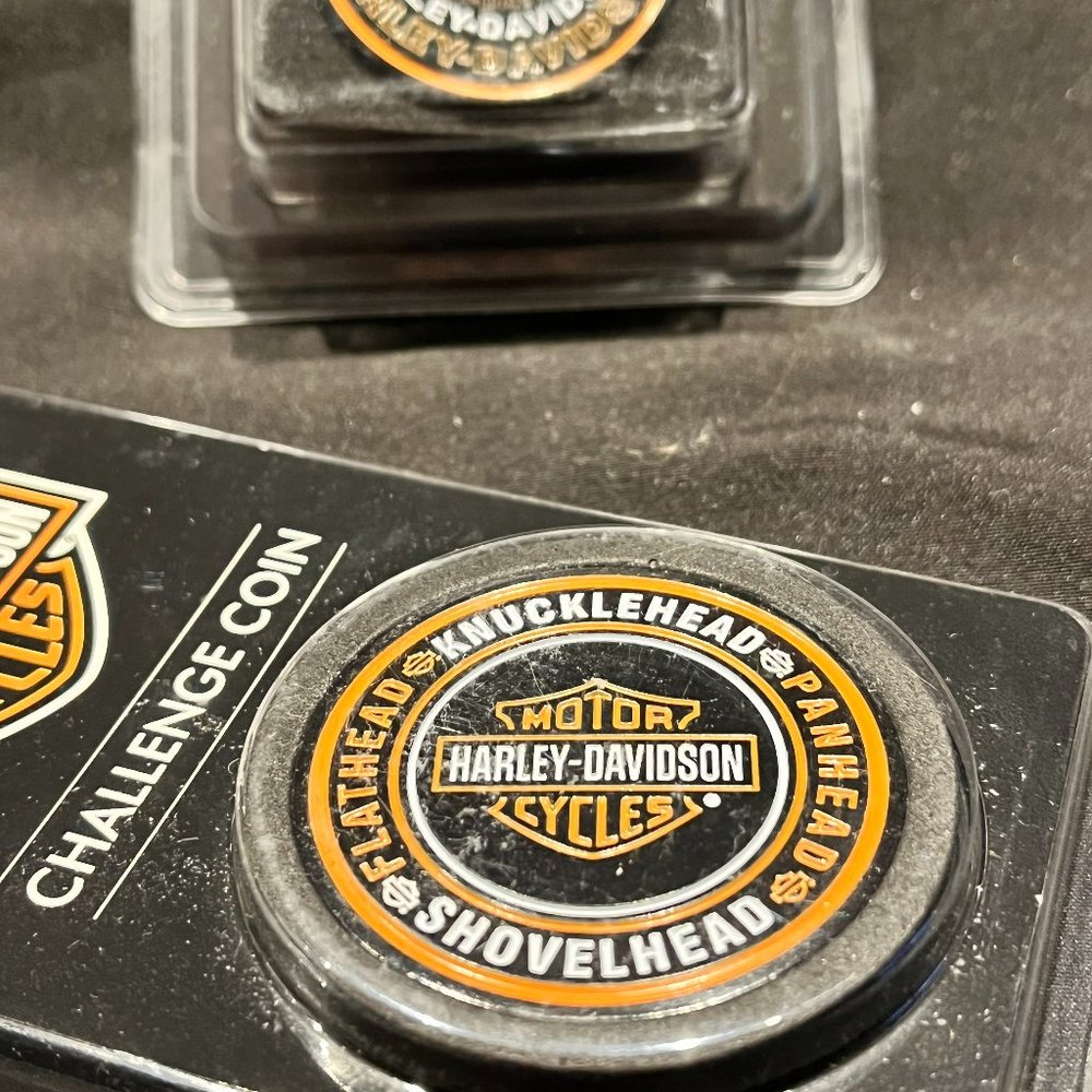 Harley Davidson Pin And Challenge Coin - Gem